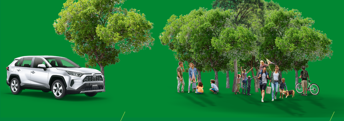 Los bosques de Toyota: más que autos, un legado sustentable | Toyota Chile